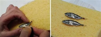 Intrek van glasaal en driedoornige stekelbaars | Informatiepunt ...